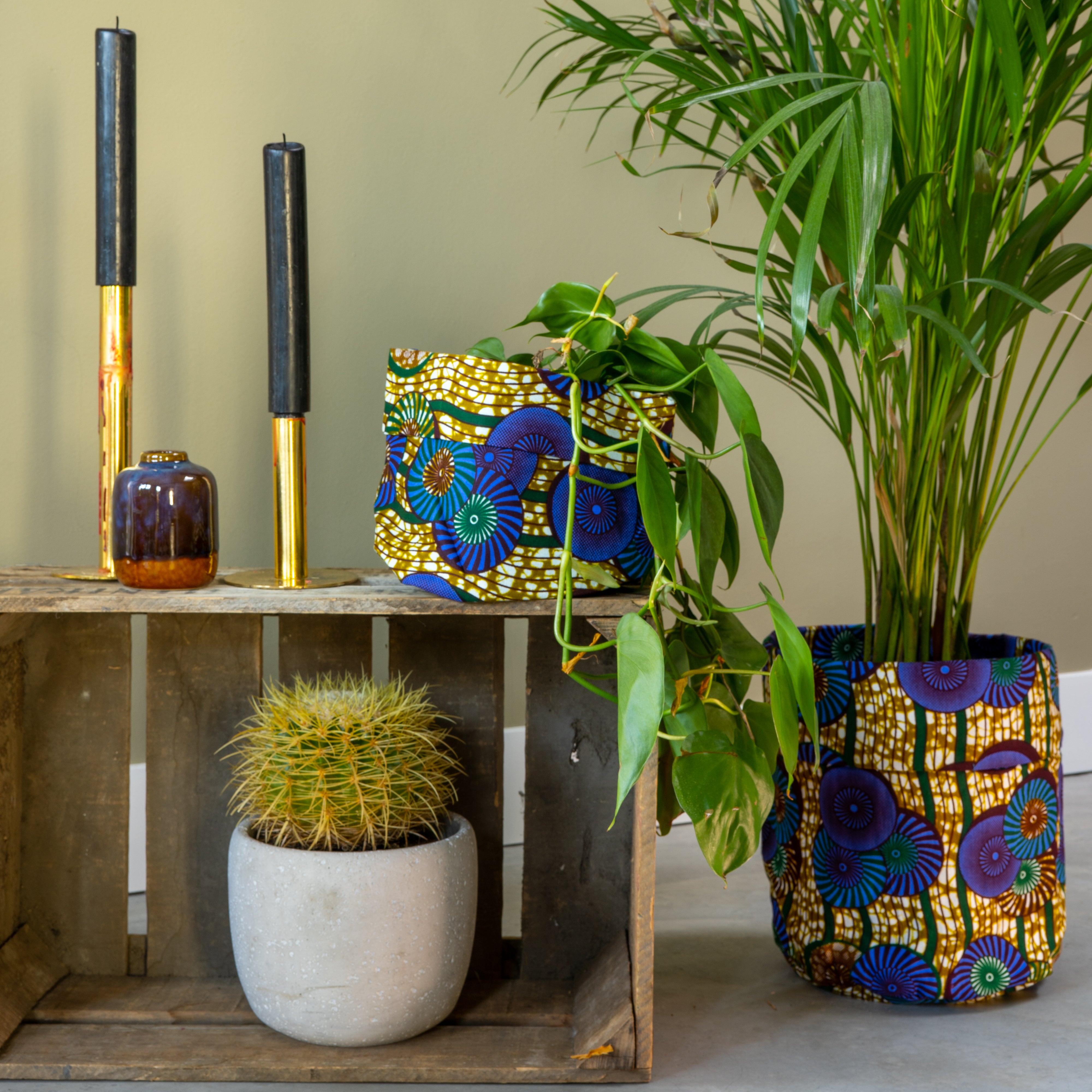 Plant bags – Maame Tumi